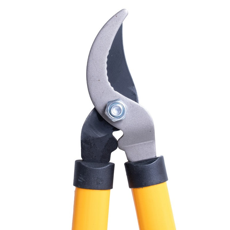 Ingco Lopper – Halozon Online Services